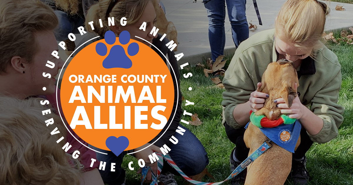 Low Cost Veterinary - OC Animal Allies