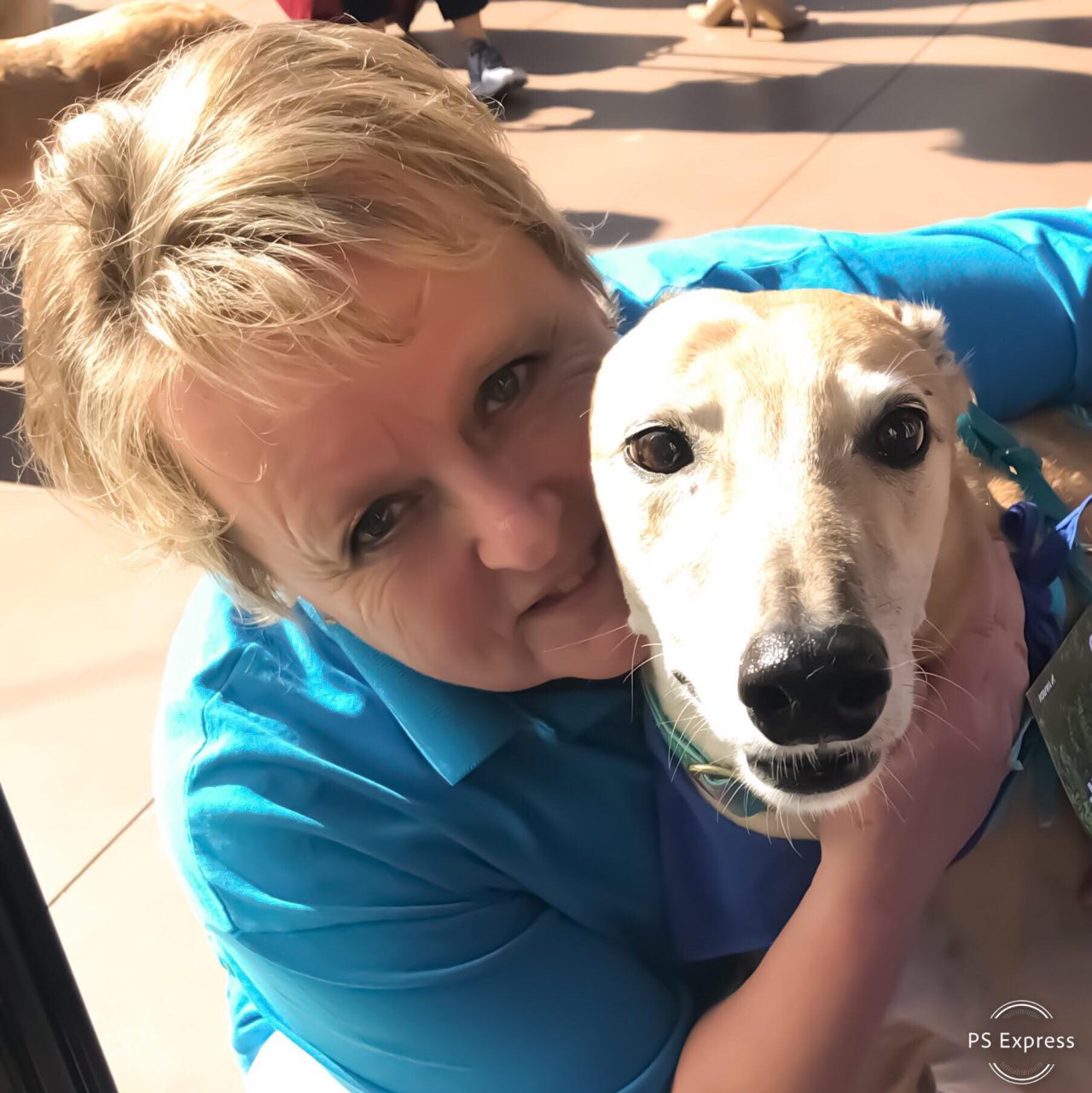 Cindy Woxen - OC Animal Allies