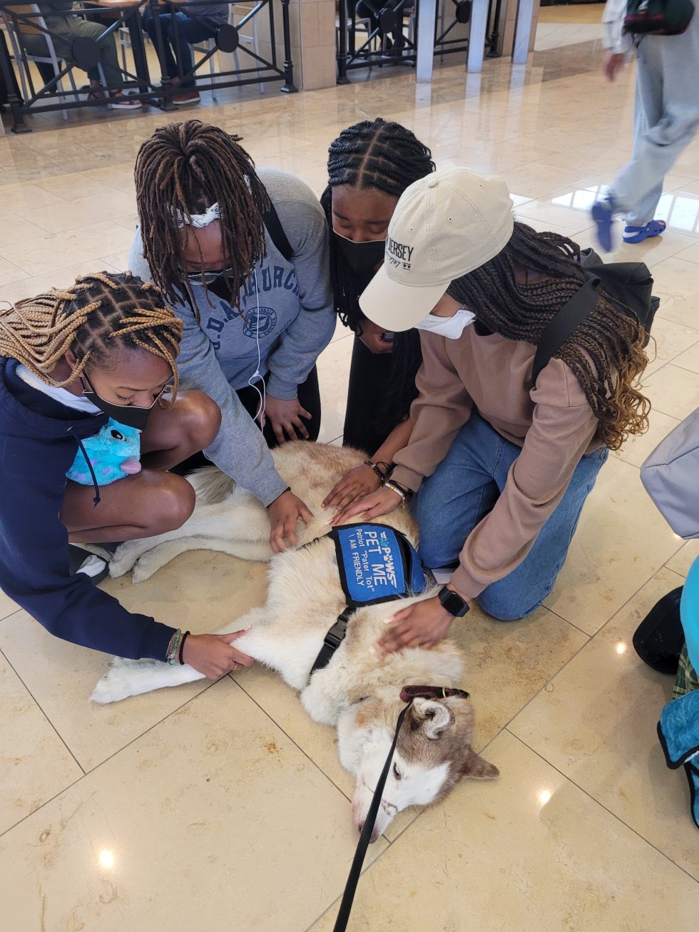 PAWS - Therapy Dogs Program - OC Animal Allies