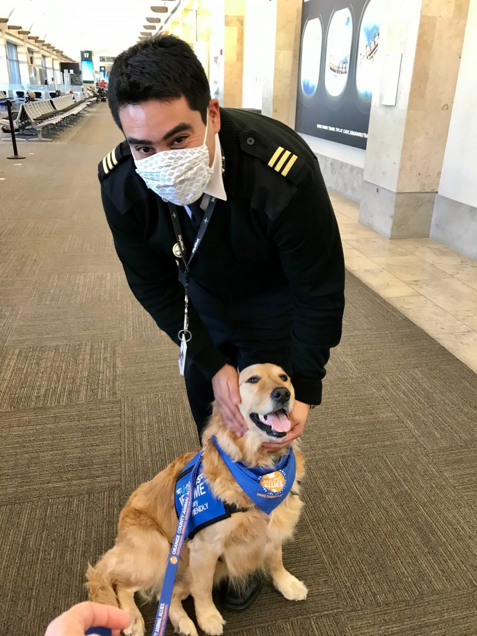 Our Programs - OC Animal Allies